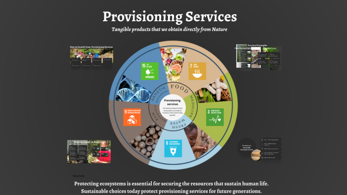 Understanding Ecosystem Provisioning Services by Julie Freeman on Prezi