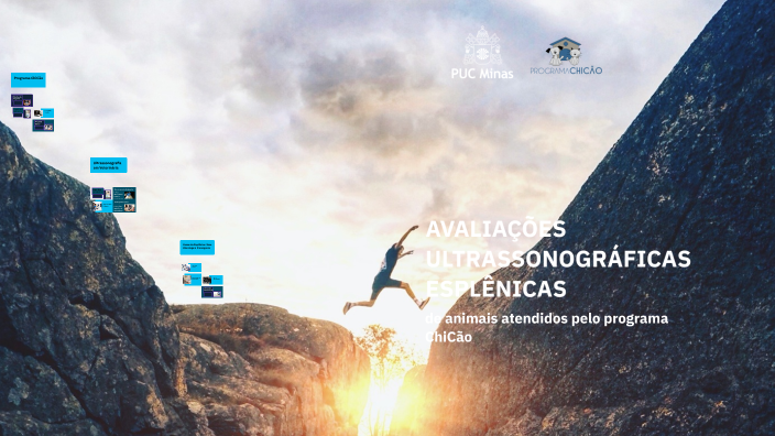 AVALIAÇÕES ULTRASSONOGRÁFICAS ESPLÊNICAS by igor Santos on Prezi