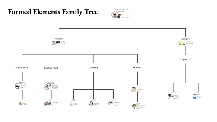 Formed Elements Family Tree by Chloe H on Prezi