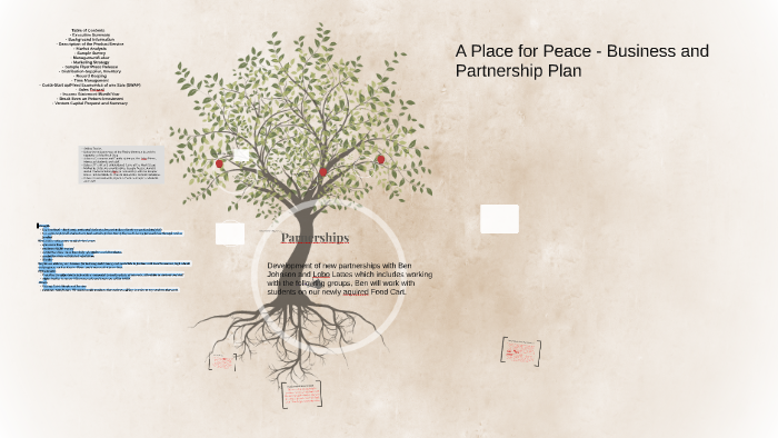 A Place for Peace - Business and Partnership Plan by Kim Nigro on Prezi