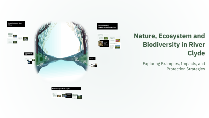 Nature, Ecosystem and Biodiversity in River Clyde by aimee matchett on Prezi