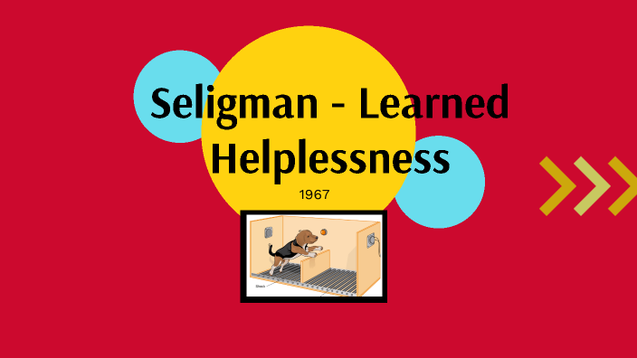 Seligman - Learned Helplessness by Christopher Hoffmann on Prezi