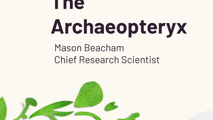 The Archaeopteryx by Mason Beacham on Prezi