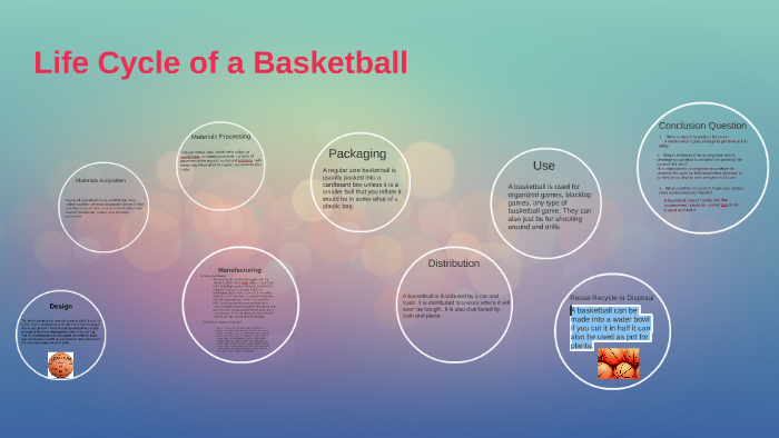 Life Cycle of a Basketball by Cole Werntz on Prezi