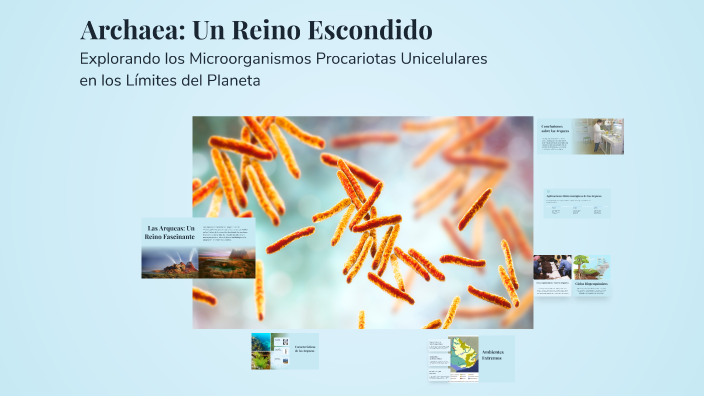 Archaea: Un Reino Escondido by Joselyn Velis on Prezi