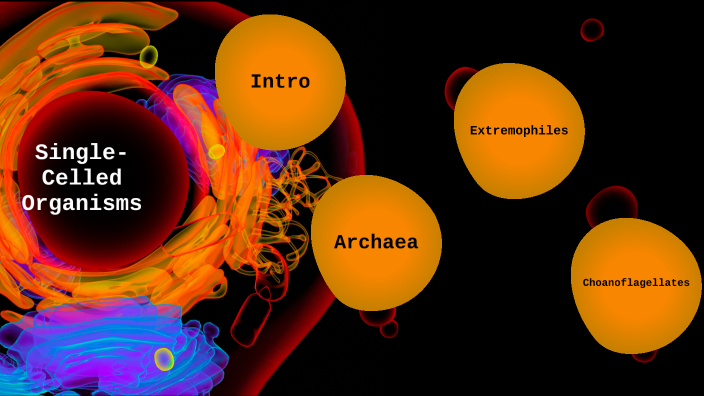 Single-Celled Organisms by Agatha Jacob on Prezi