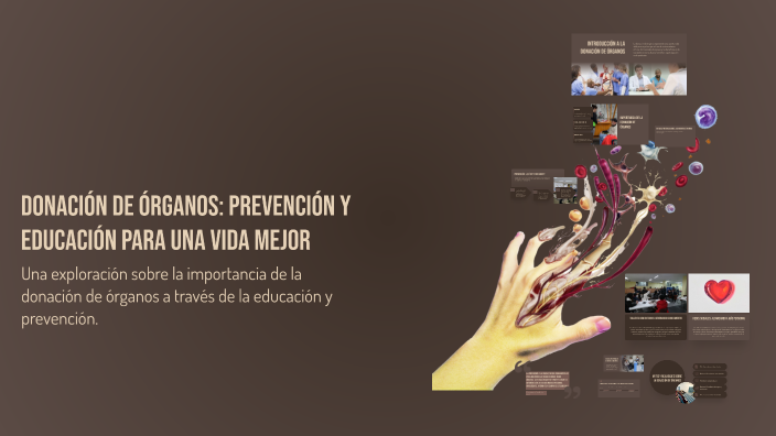 Donación de Órganos: Prevención y Educación para una Vida Mejor by Dora ...