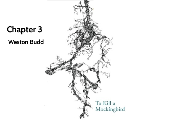tkam chapter 3 by Weston Budd on Prezi Next