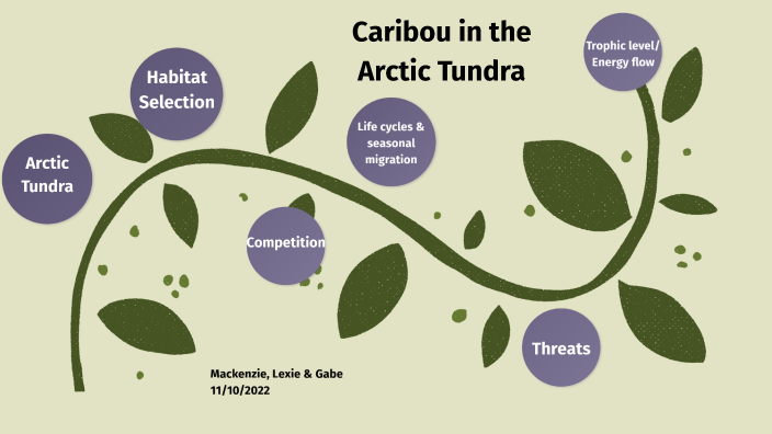Lab 4 Ecological Principles by Mackenzie Dojahn on Prezi
