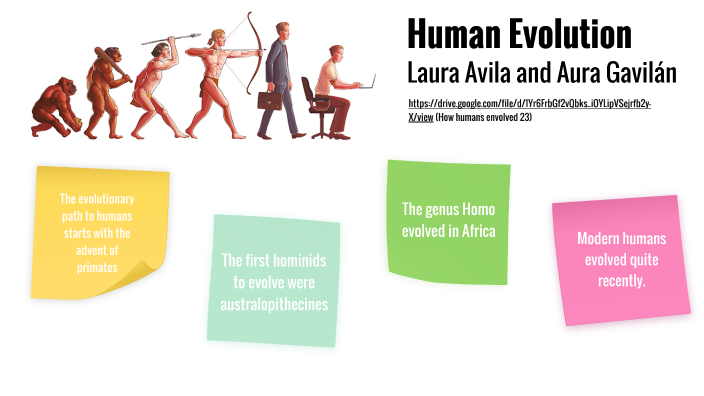 human evolution by Laura Avila on Prezi