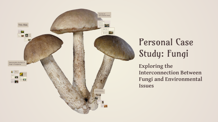 Personal Case Study: Fungi by Ruby Harris on Prezi