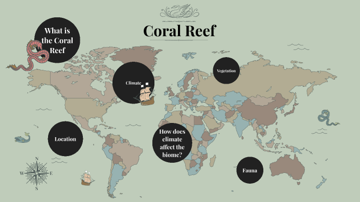 Marine Biome by Eamonn Billing on Prezi