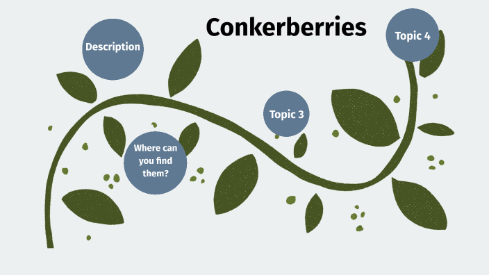 Conkerberry by kiara tregear-teran on Prezi