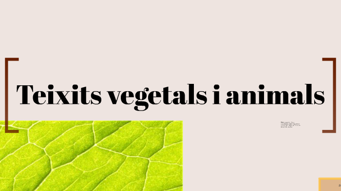 Teixits animals i vegetals by paia sage on Prezi
