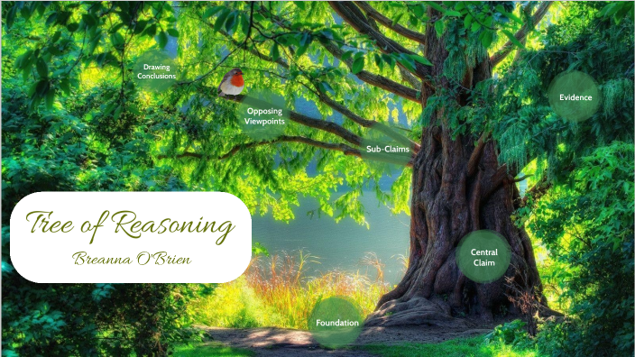 Tree of Reasoning by Breanna O'Brien on Prezi