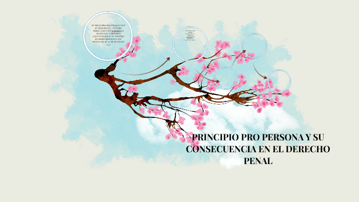 PRINCIPIO PRO PERSONA by MARVIN HERNANDEZ on Prezi