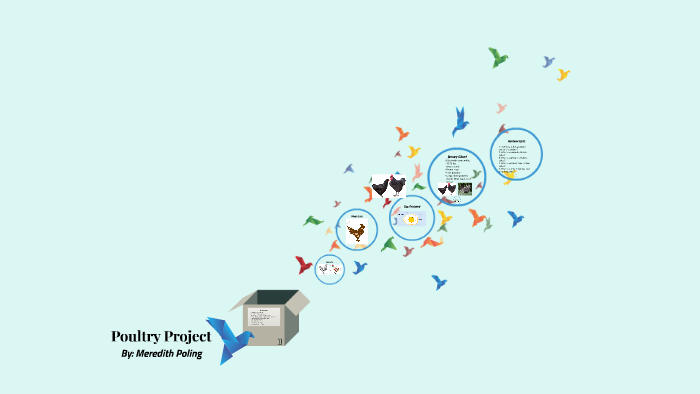 Poultry by Meredith Poling on Prezi