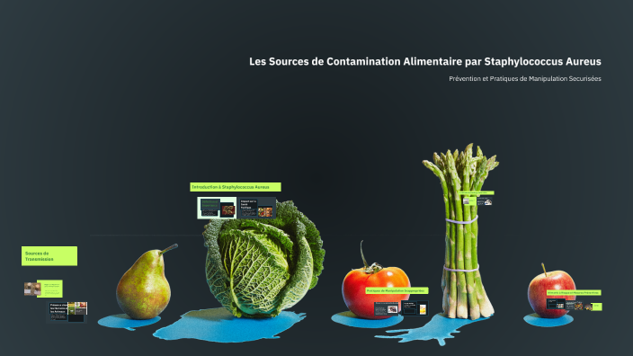 Les Sources de Contamination Alimentaire par Staphylococcus Aureus by ...