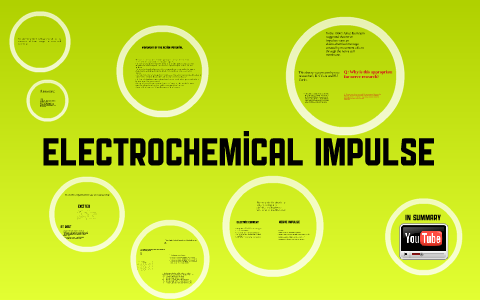 Electrochemical Impulse by Taylor Sellenkowitsch on Prezi