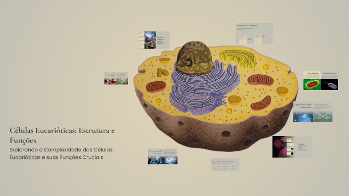 Células Eucarióticas: Estrutura e Funções by nauan xandu on Prezi