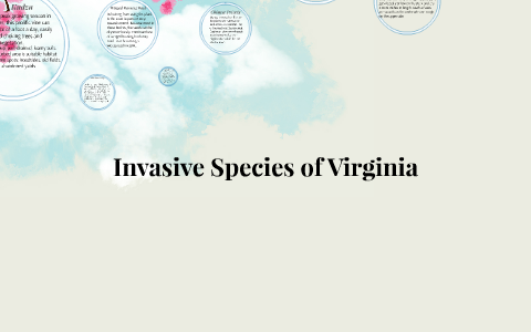 Invasive Species of Virginia by Cortney Busick on Prezi