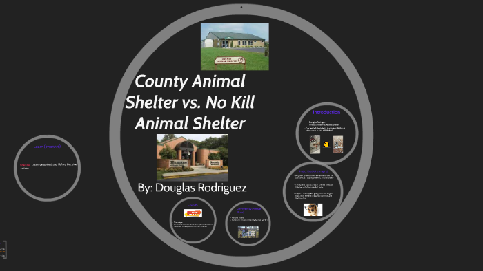 County Animal Shelter vs. No Kill Animal Shelter by Douglas Rodriguez