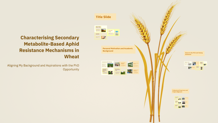 Characterising Secondary Metabolite-Based Aphid Resistance Mechanisms ...