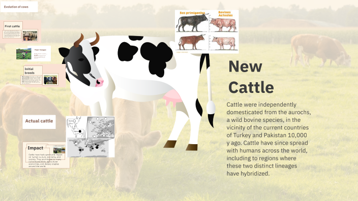 Evolución de las Vacas by María Daniela Rodas Muñiz on Prezi