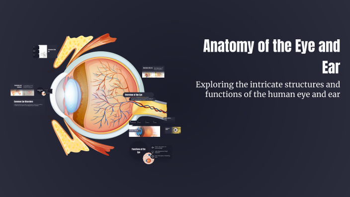 Anatomy of the Eye and Ear by KONSTANTINOS KATSAFOUROS NSOCM - NAEMT ...