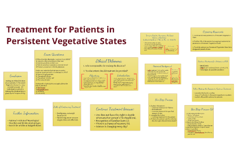 Persistent Vegetative State by Will Knox on Prezi