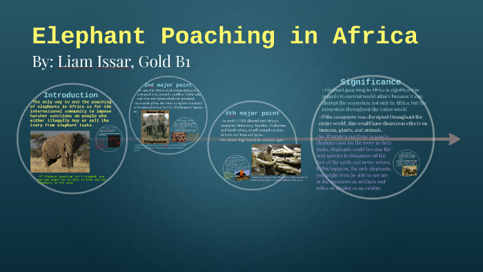 Elephant Poaching in Africa presentation by Liam Issar on Prezi