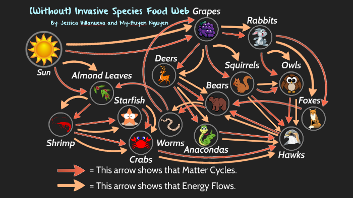 Invasive Species Food Web by Jessica Hamilton on Prezi