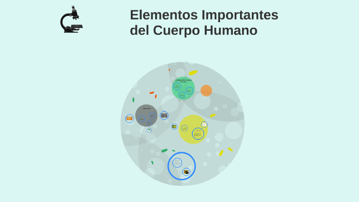 elementos importantes del cuerpo humano by Eduardo Ortega Anaya on Prezi