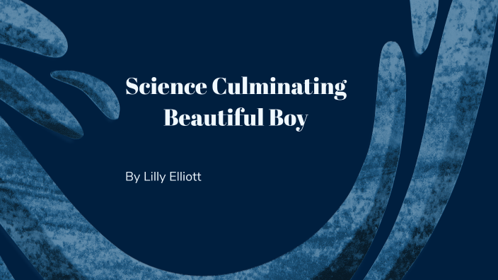 Lilly Elliott - Science Culminating (Beautiful Boy) by Lilly E on Prezi