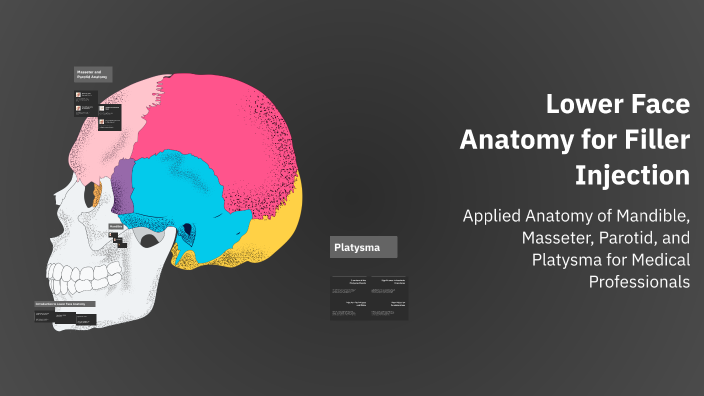 Lower Face Anatomy for Filler Injection by Farzin Sarkarat on Prezi
