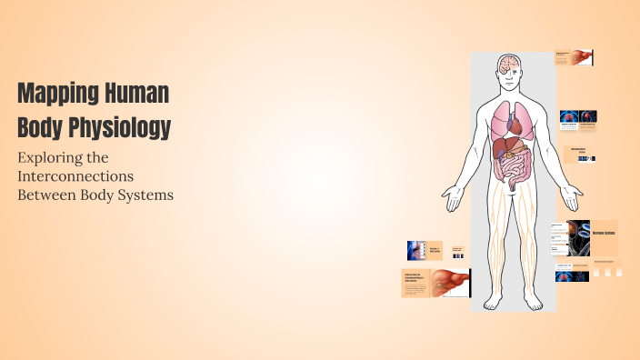 Mapping Human Body Physiology by Ivan Esparza on Prezi