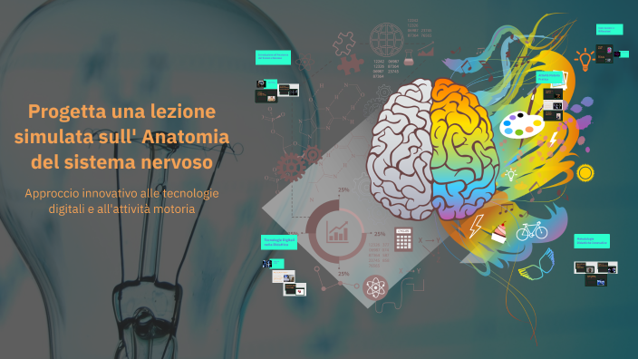 Progetta una lezione simulata sull' Anatomia del sistema nervoso by ... Progetta una lezione simulata sull' Anatomia del sistema nervoso by ...