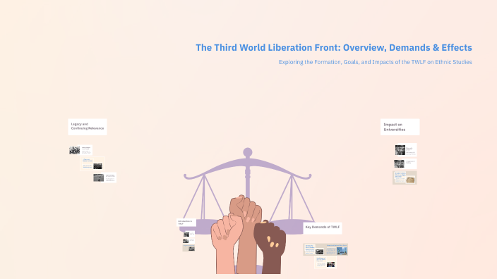 The Third World Liberation Front: Overview, Demands & Effects by Chloe ...