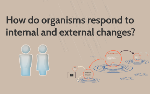 How do organisms respond to internal and external changes? by Samantha ...