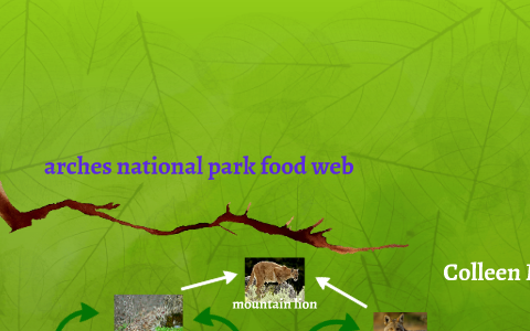 arches national park food web by Colleen Menne on Prezi