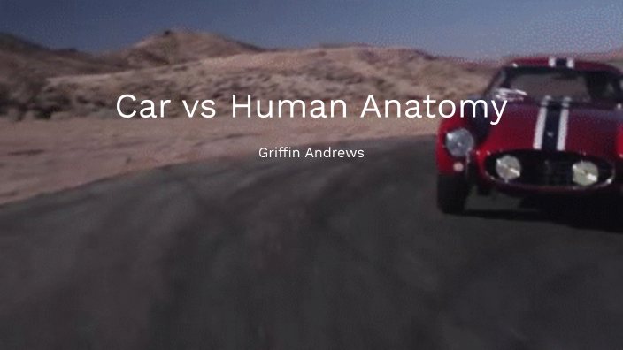 Cars vs Humans by Griffin Andrews on Prezi