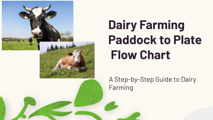 Dairy Farming Process Flow Chart by Susana Ramirez-Baena on Prezi