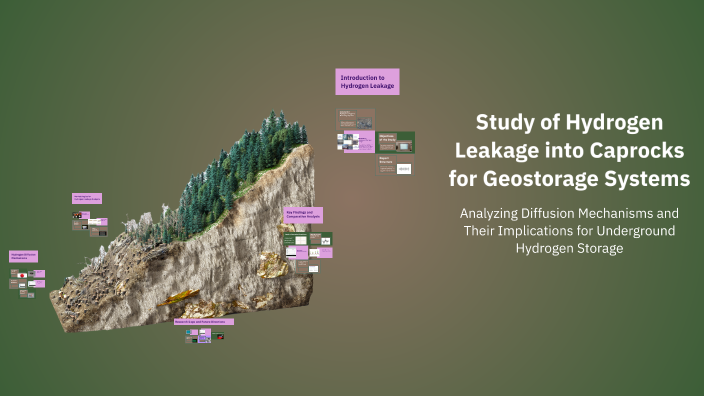Study of Hydrogen Leakage into Caprocks for Geostorage Systems by ...