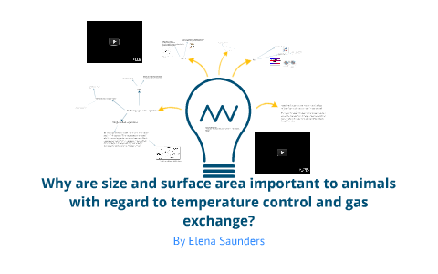 Why are size and surface area important to animals with regard to ...
