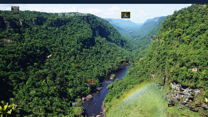 Amazon rainforest meets the river, sunlight, wind, and moisture create ...
