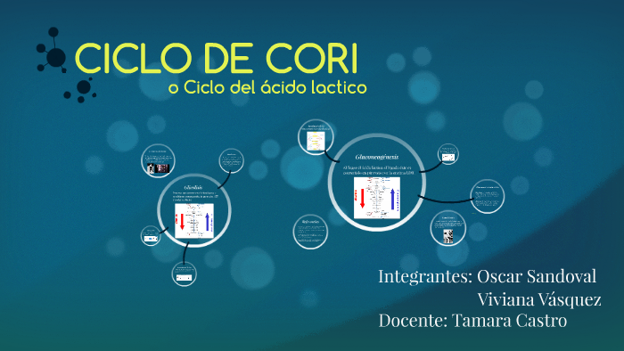 CICLO DE CORI by Oscar Sandoval on Prezi