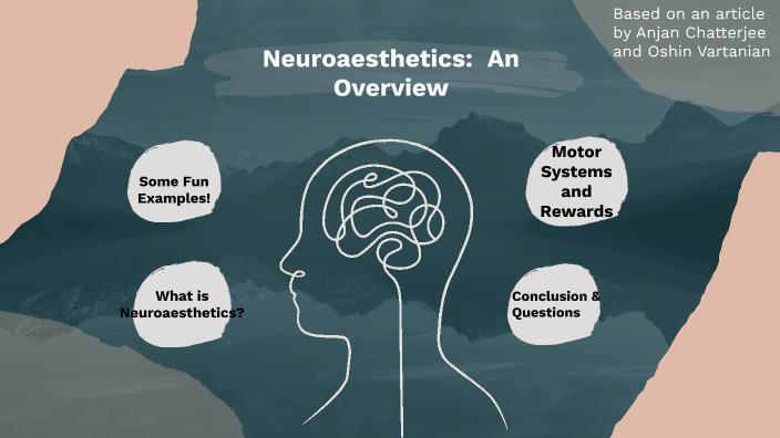 neuro-aesthetics by Madison McKinnis on Prezi