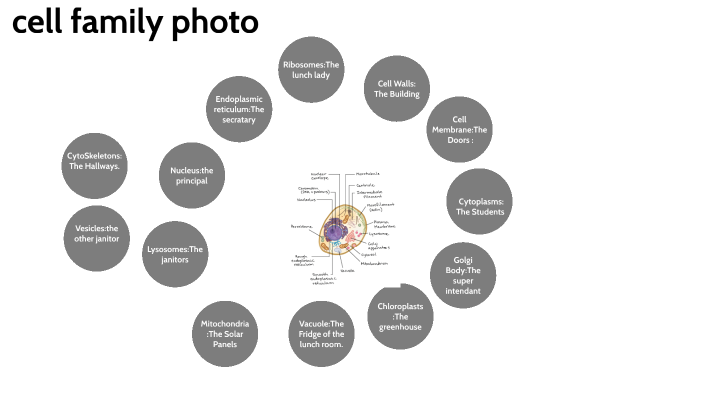 cell family tree by eli dies on Prezi