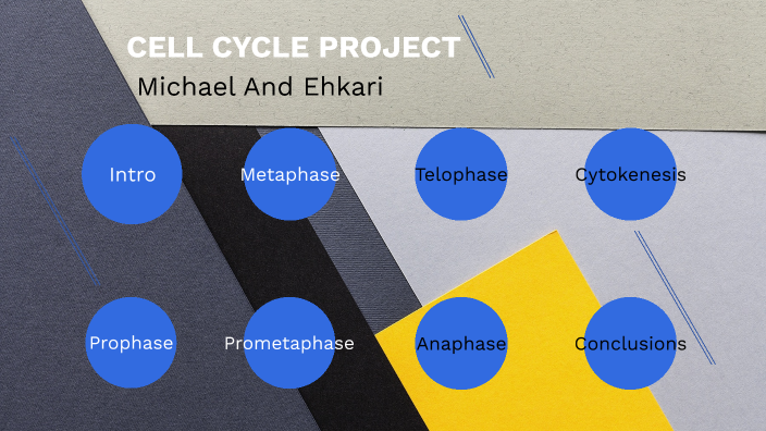 Cell Cycle Project by STU MICHAEL GUSTAFSON on Prezi