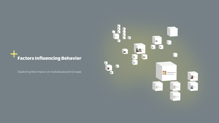 Factors Influencing Behavior by Elmas Arikan on Prezi